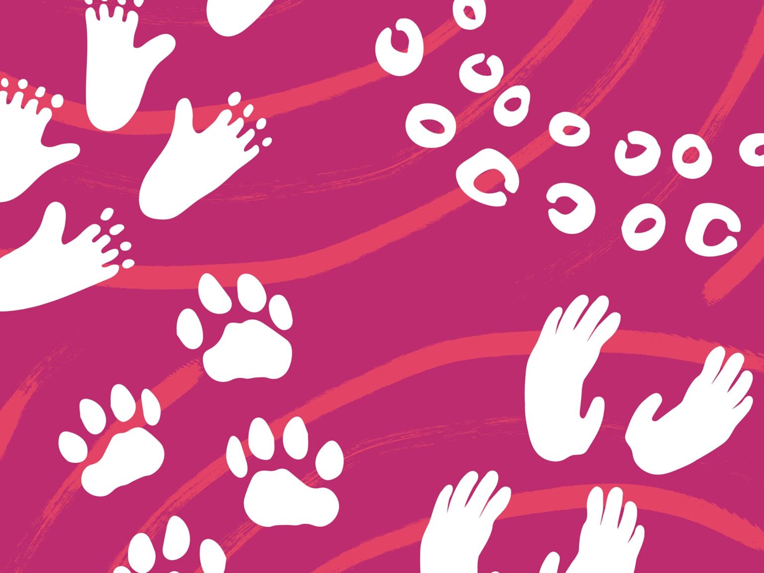 WWF Adoption Campaign - Loop: Design for Social Good